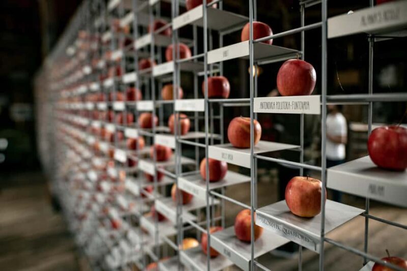 Hobart: Hastings Cave, Tahune Airwalk and Huon Tasting Trail - Exploring the Deep South of Tasmania