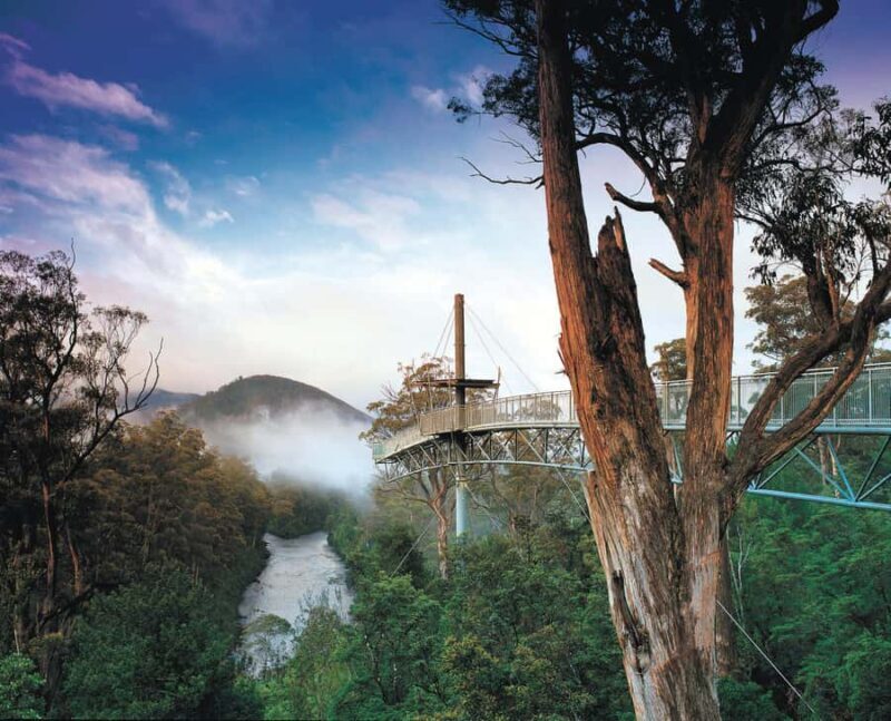 Hobart: Hastings Cave, Tahune Airwalk and Huon Tasting Trail - Hastings Caves: A Subterranean Marvel