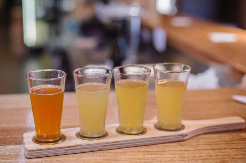 Hobart: Hastings Cave, Tahune Airwalk and Huon Tasting Trail - Practical Details and Experience Quality