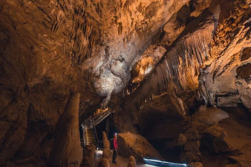 Hobart: Hastings Cave, Tahune Airwalk and Huon Tasting Trail - Frequently Asked Questions