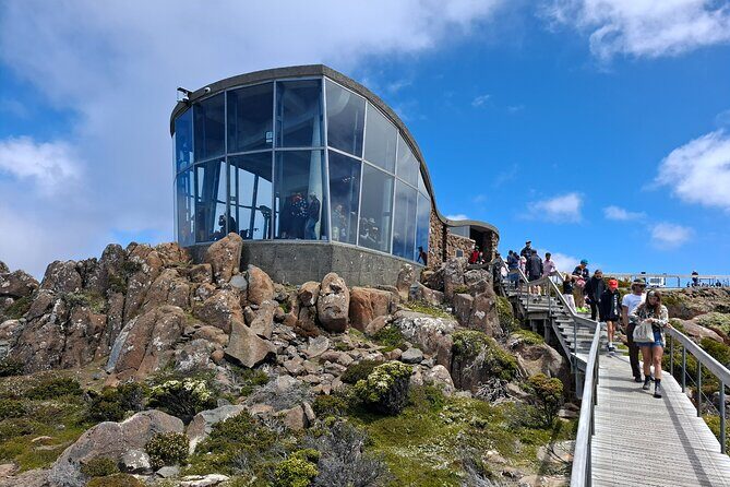 Hobart Highlights and Mount Wellington Shore Excursion - Authentic Traveler Insights