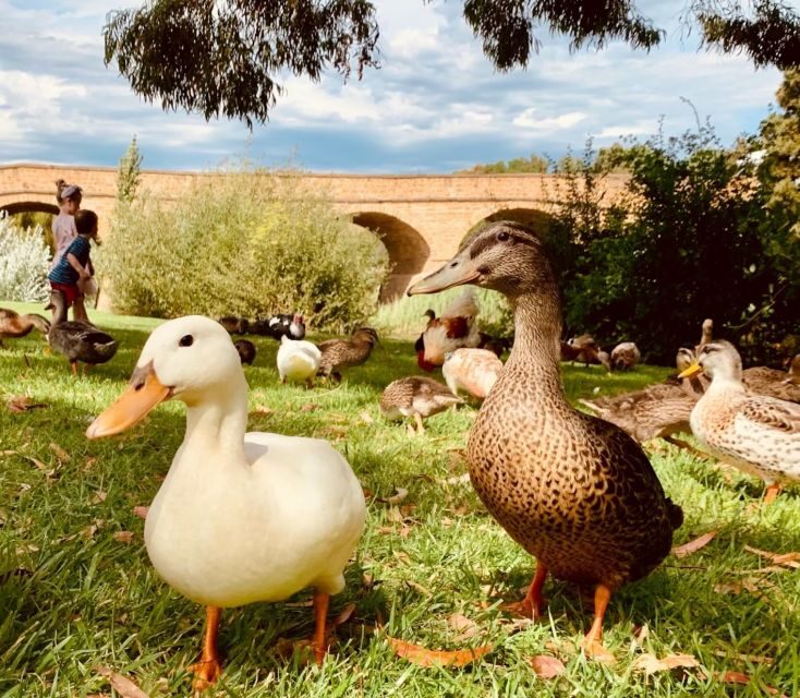 Hobart Highlights Day Tour - Why This Tour Offers Good Value