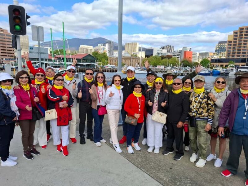 Hobart Highlights & Mount Wellington Shore Excursion - Scenic Lookouts and Panoramic Vistas