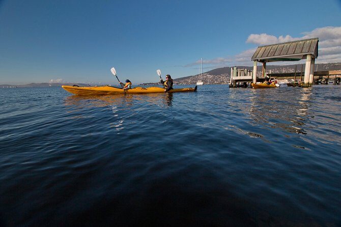 Hobart Kayak Tour - The Value of the Hobart Kayak Tour