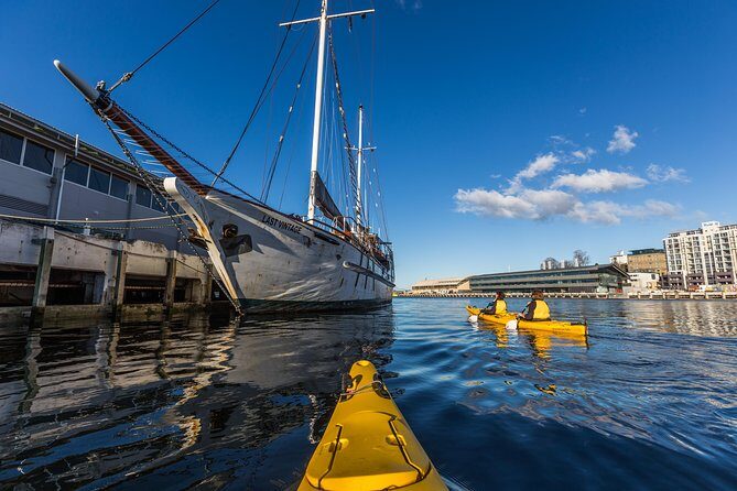 Hobart Kayak Tour - Who Should Book This Tour?