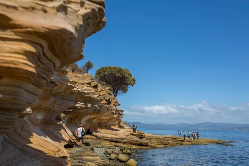 Hobart: Maria Island National Park Active Full-Day Tour - Hobart: Maria Island National Park Active Full-Day Tour — An In-Depth Review
