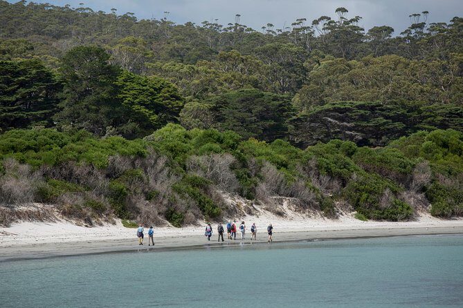 Hobart: Maria Island National Park - Nature & Wildlife Adventure - Is This Tour Worth It?