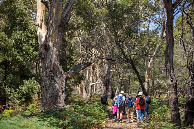 Hobart: Maria Island National Park - Nature & Wildlife Adventure - Who Should Book This Tour?