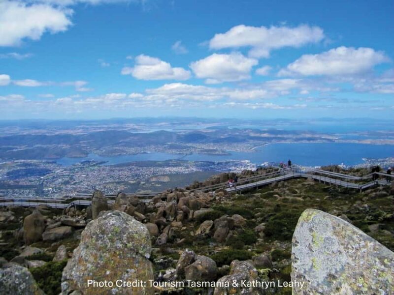 Hobart: Mt Wellington & MONA (Private Tour) - Return Journey