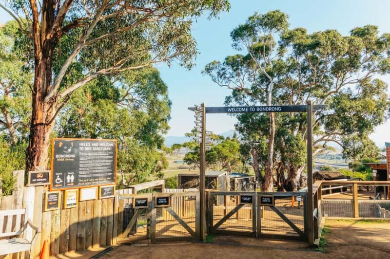 Hobart: Mt Wellington, Mt Field, Bonorong and Richmond Trip - Scenic Drive through Wellington Park