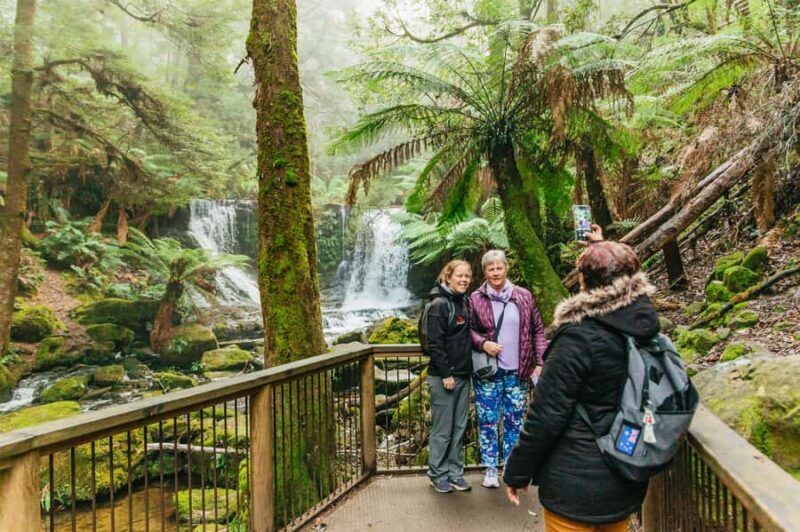 Hobart: Mt Wellington, Mt Field, Bonorong and Richmond Trip - What’s Included and What to Bring