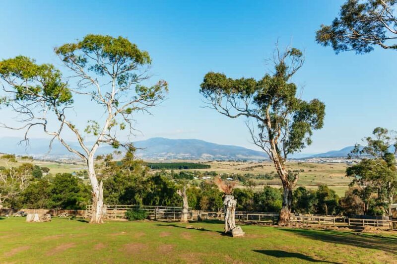 Hobart: Mt Wellington, Mt Field, Bonorong and Richmond Trip - Overall Value and Experience