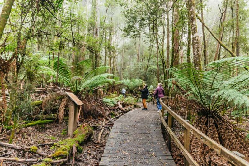 Hobart: Mt Wellington, Mt Field, Bonorong and Richmond Trip - Who Is This Tour Best For?