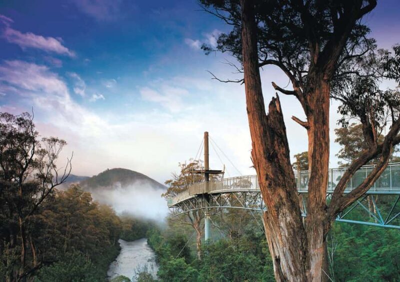 Hobart: Port Arthur, Bruny, Hastings, and Tahune 4-Day Trip - Key Points