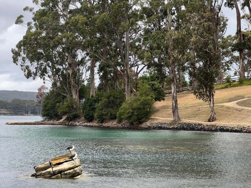 Hobart: Port Arthur & Tasman Park Full-Day Trip with Cruise - Transport, Guides, and Overall Comfort