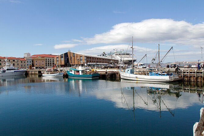 Hobart Shore Excursion: Hobart Attractions Bus - What to Expect from the Hobart Attractions Bus Tour