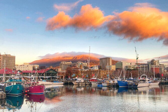 Hobart Shore Excursion- Open Top City Explorer Tour 9.30am - Nutgrove Beach & Sandy Bay
