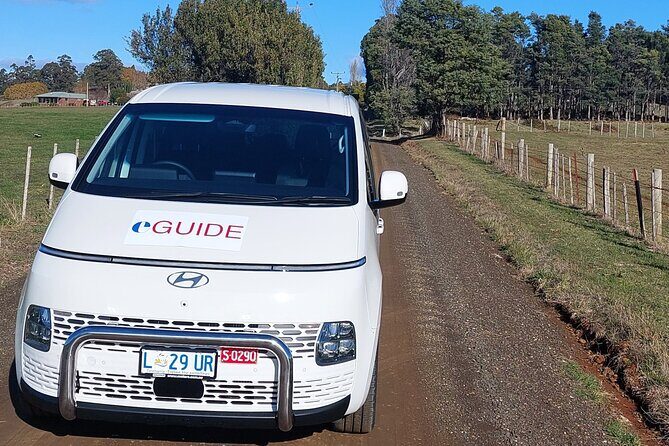 Hobart Shore Excursion Private Tour - A Close Look at the Hobart Shore Excursion Private Tour