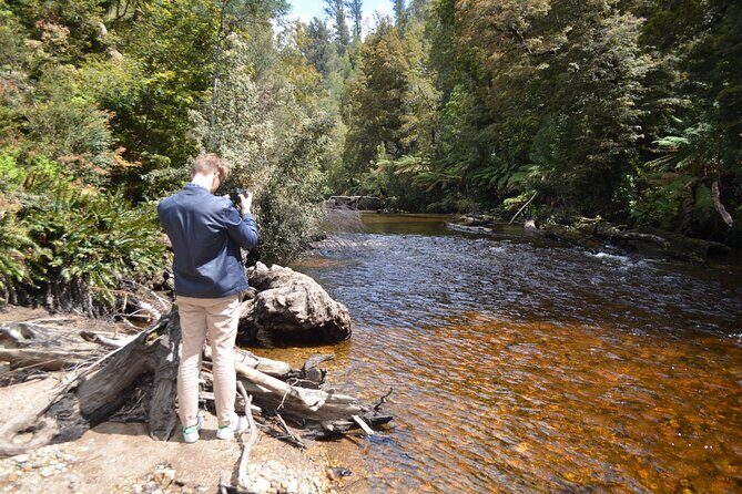 Hobart Shore Excursion Private Tour - The Sum Up