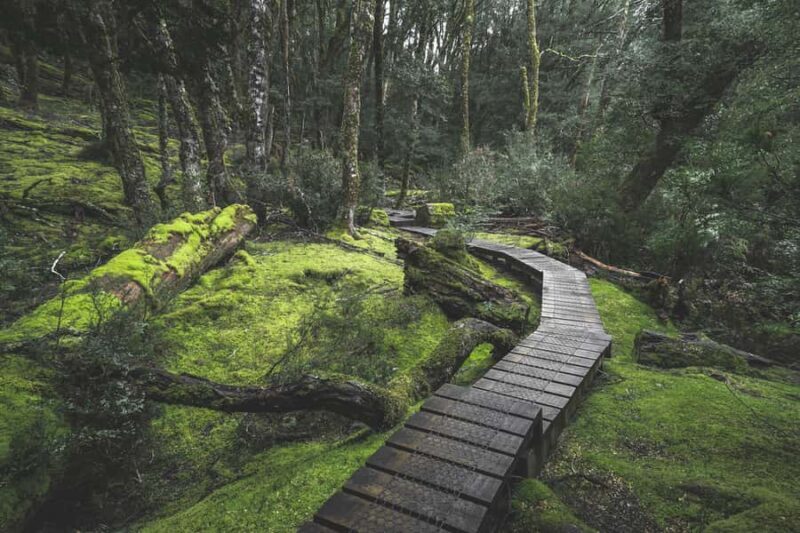 Hobart to Cradle Mountain to Launceston - Key Points