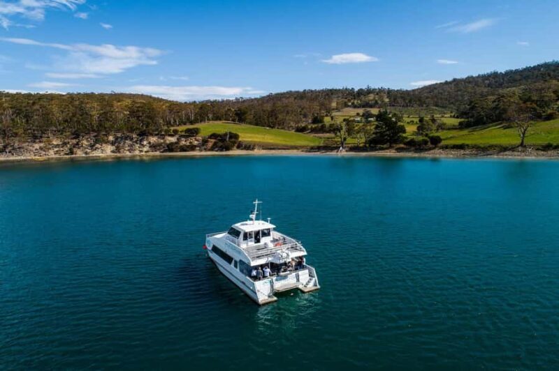 Hobart: Ultimate Seafood Cruise on a Spacious Catamaran - Real-World Insights from Reviews