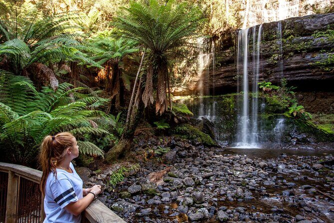 Hobart: Waterfalls, Wilderness & Wildlife - Active Day Tour - FAQ