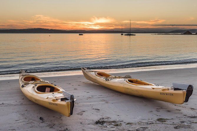Hobart's Cliffs, Caves and Beaches Kayak Tour - Final Thoughts: Who Should Sign Up?