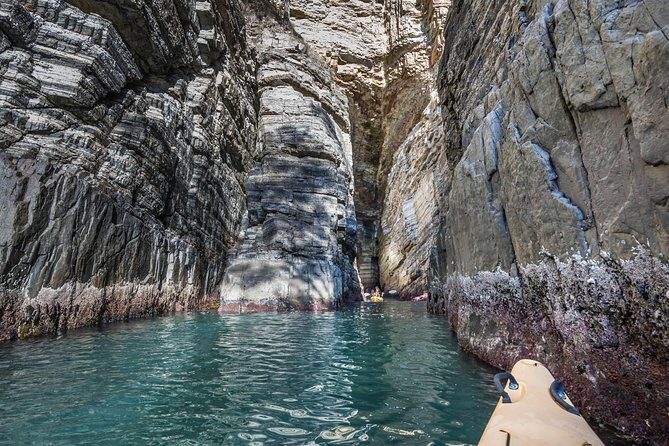 Hobart's Cliffs, Caves and Beaches Kayak Tour - Final Word
