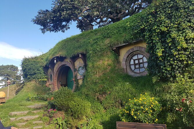 Hobbiton Afternoon Tour in Luxury Minibus from Auckland - Who Should Consider This Tour?
