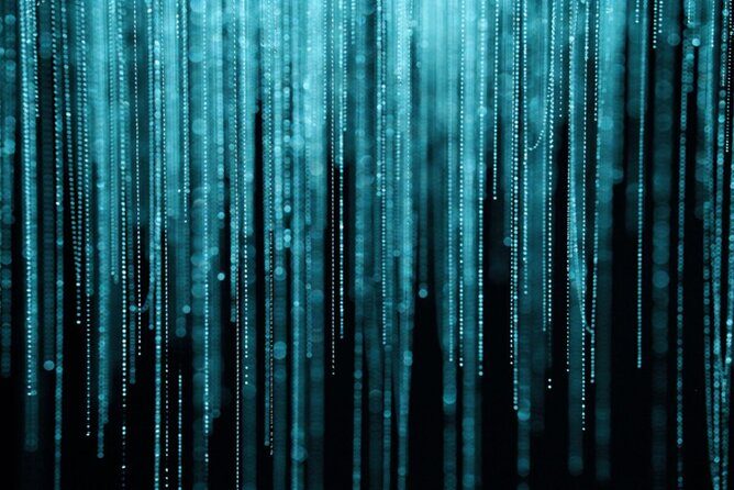 Hobbiton and Waitomo Caves Small Tour from Auckland - Potential Considerations