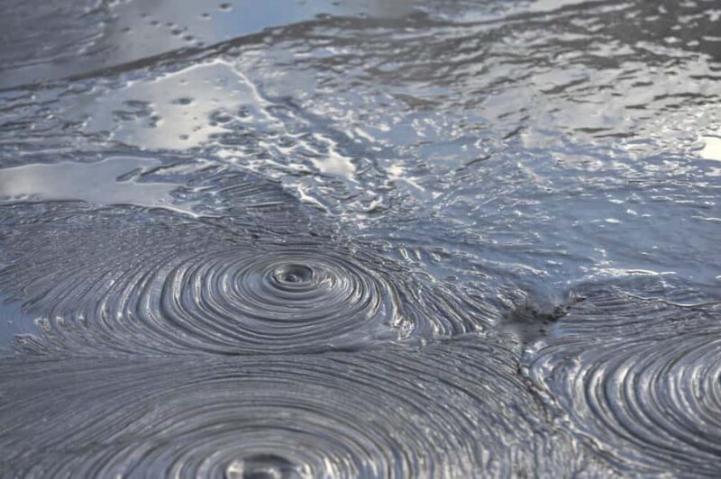 Hobbiton Movie Set & Rotorua Premium Day Tour from Auckland - Detailed Breakdown of the Itinerary and What You’ll Experience