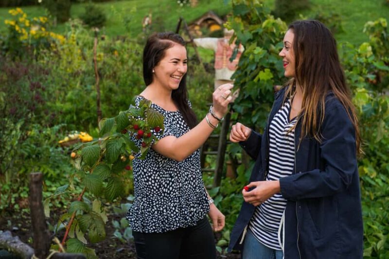 Hobbiton Movie Set & Rotorua Premium Day Tour from Auckland - Practical Tips and Considerations