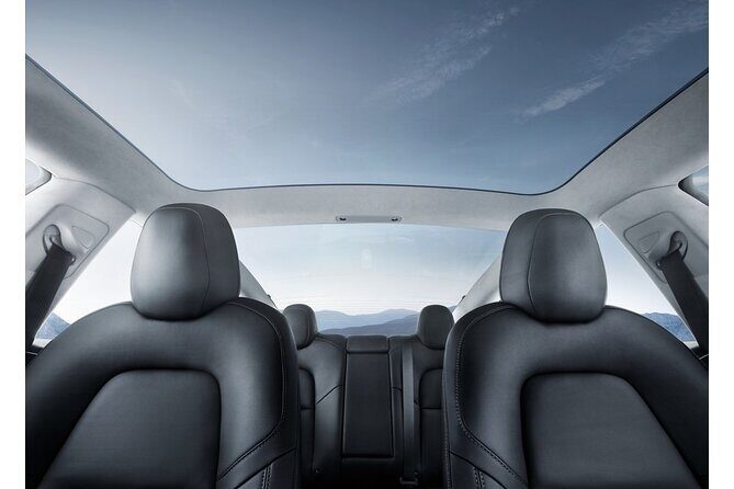 Hobbiton Movie Set Small Group Private Transfer from Auckland - Additional Options and Customizations