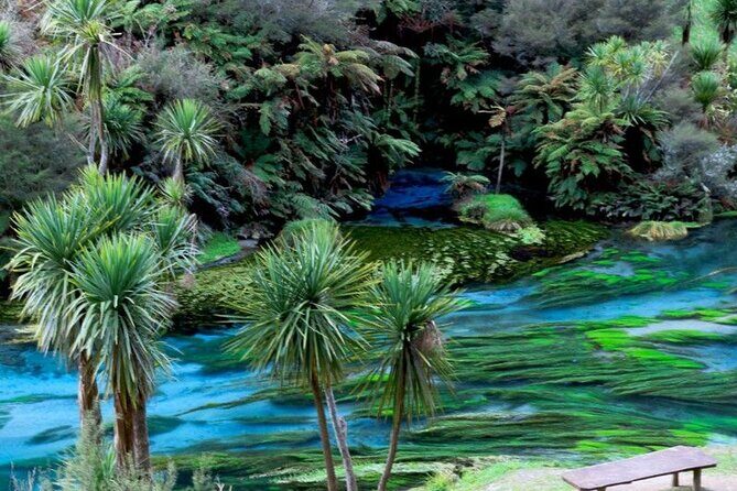 Hobbiton Movie Set Tour to Blue Springs and Mineral Spa - Return to Auckland