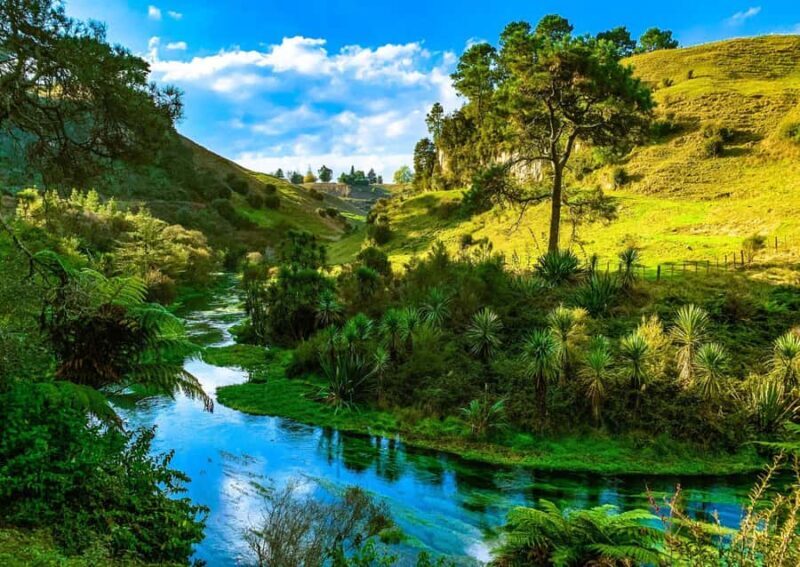 Hobbiton Movie Set Tour to Blue Springs and Waitomo caves - The Sum Up