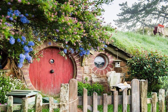 Hobbiton Movie Set Walking Tour from Shires Rest - A Detailed Look at the Tour Itinerary