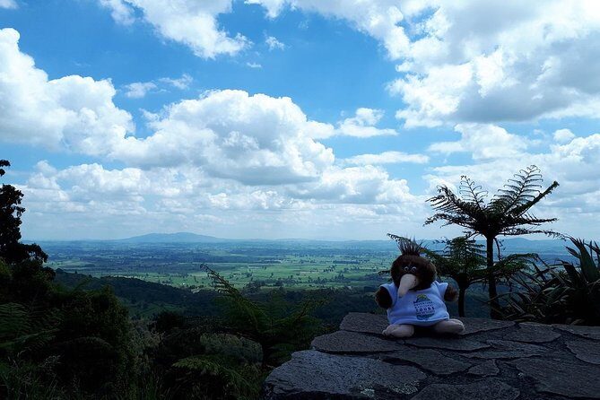 Hobbiton Transport & Tauranga Highlights Excursion from Tauranga - FAQs