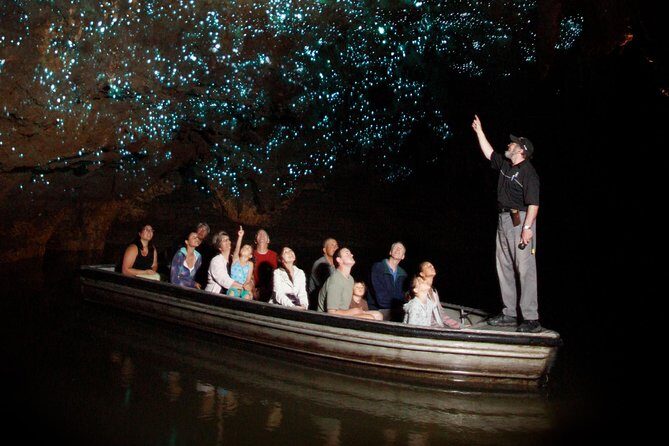 Hobbiton & Waitomo Caves Exclusive Luxury Day Tour From Auckland - Key Points