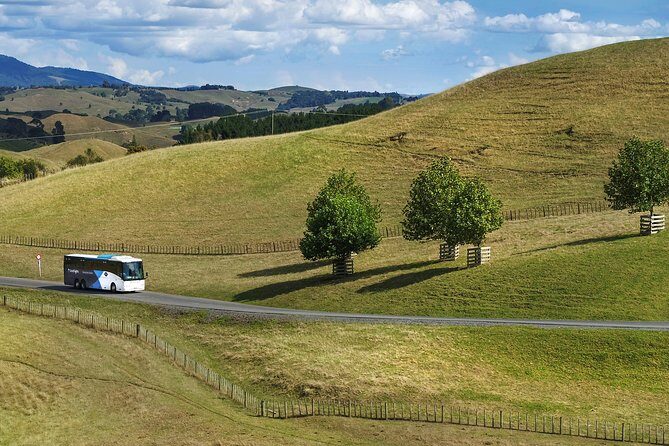 Hobbiton & Waitomo Caves Guided Tour from Auckland with Lunch - FAQ