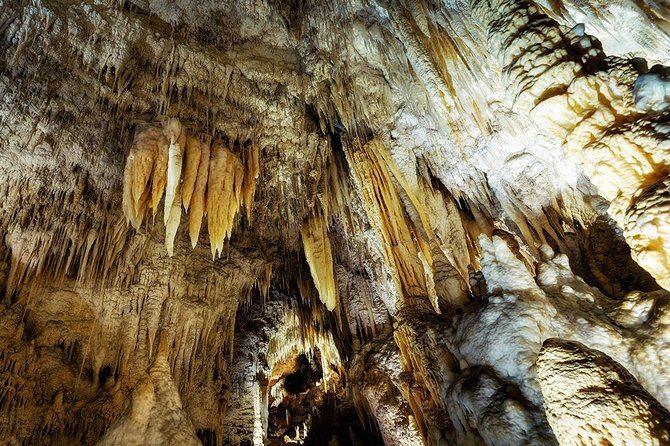 Hobbiton & Waitomo Caves Small Group Tour from Auckland inc Lunch - FAQs