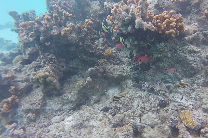 Hobie Cat Saipan Lagoon Sailing Tour - Detailed Breakdown of the Itinerary