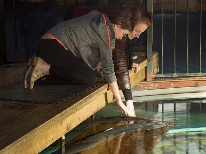 Hokitika: The National Kiwi Centre Tickets - What to Expect During Your Visit