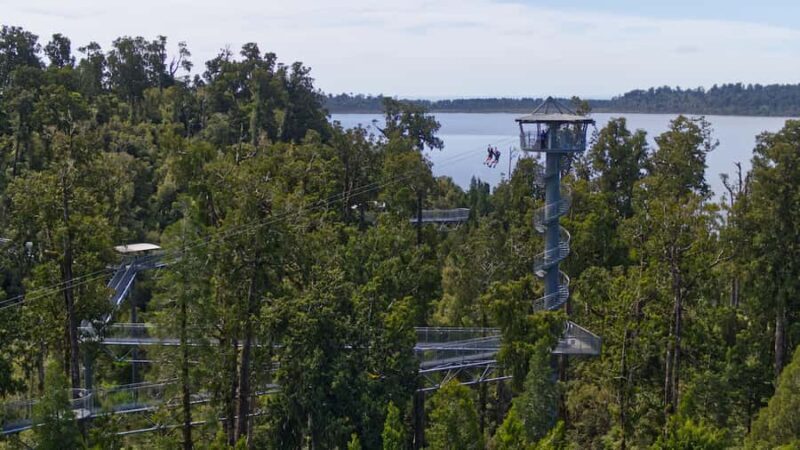 Hokitika: West Coast Tree Top Tower Zip Line and Walk - Climbing the Spiral Tower for Unmatched Views