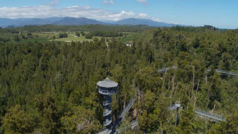Hokitika: West Coast Tree Top Tower Zip Line and Walk - Zip-line Thrills: Flying Over the Canopy