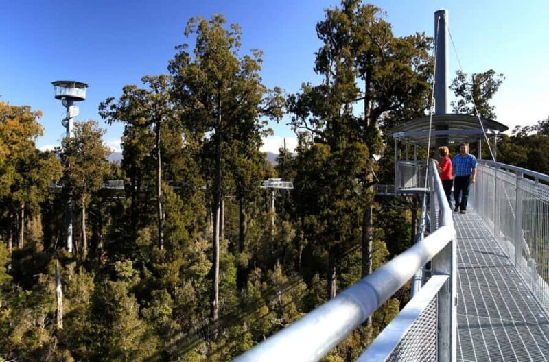 Hokitika: West Coast Tree Top Tower Zip Line and Walk - What We Love & What to Consider