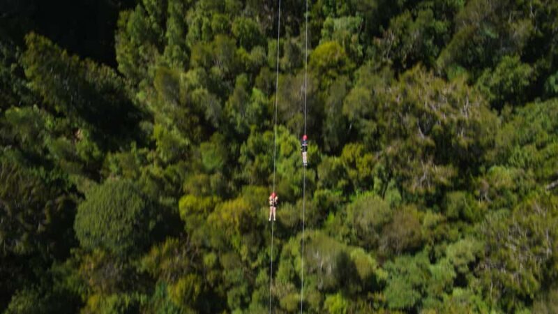 Hokitika: West Coast Tree Top Tower Zip Line and Walk - Who Is This Tour Best Suited For?