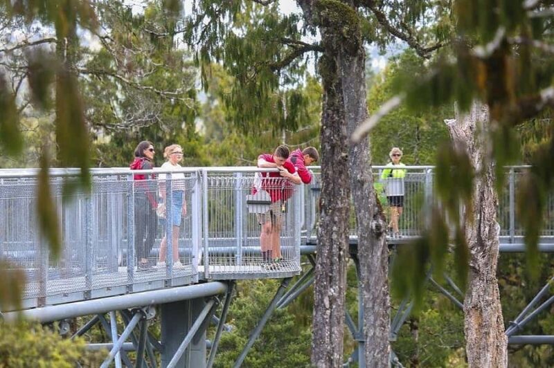 Hokitika: West Coast Treetop Walkway Entrance Ticket - Authentic Traveler Insights