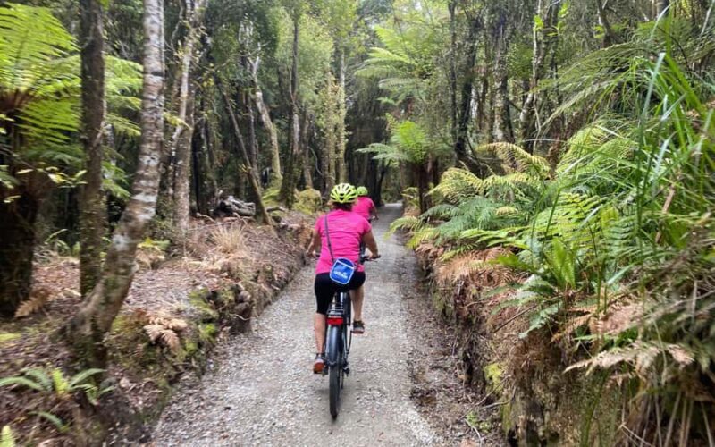 Hokitika: Wilderness Trail eBike Tour & Hokitika Gorge Walk - Who Should Consider This Tour?