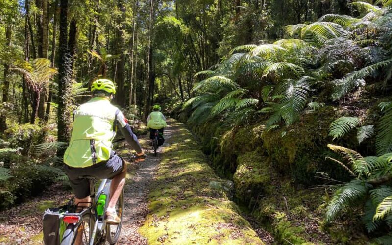 Hokitika: Wilderness Trail eBike Tour & Hokitika Gorge Walk - Final Thoughts