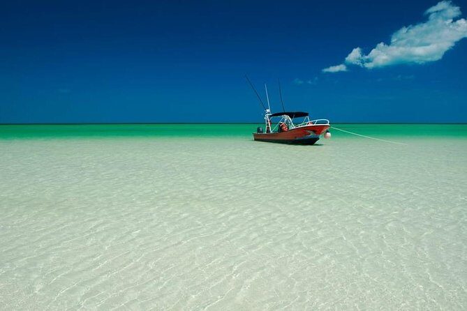 Holbox Beach Adventure! & Punta Mosquito Beaches from Tulum City - What Sets This Tour Apart